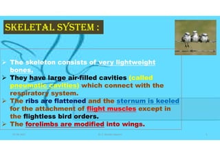 Movements in birds | PDF