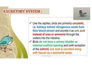 Movements in birds | PDF