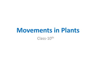 Movements in plants | PPTX