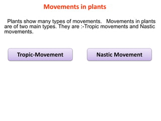 Movements in plants | PPTX