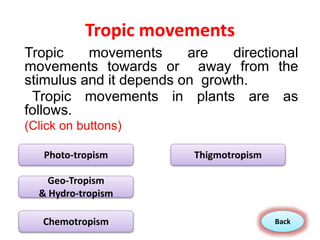 Movements in plants | PPTX