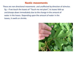 Movements in plants | PPTX