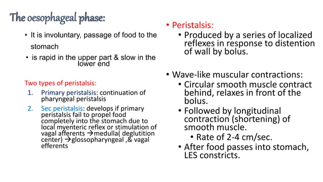 Movements in the GIT( the guyton and hall physiology) | PPTX | Ear ...