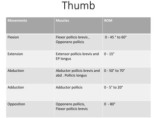 MOVEMENTS, MUSCLES and ROM of all upper and lower limb joints movements ...