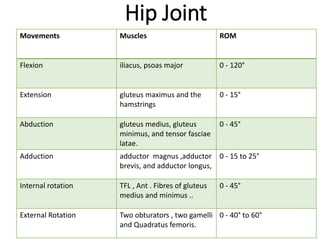 MOVEMENTS, MUSCLES and ROM of all upper and lower limb joints movements ...