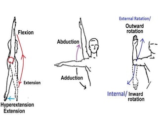 MOVEMENTS, MUSCLES and ROM of all upper and lower limb joints movements ...