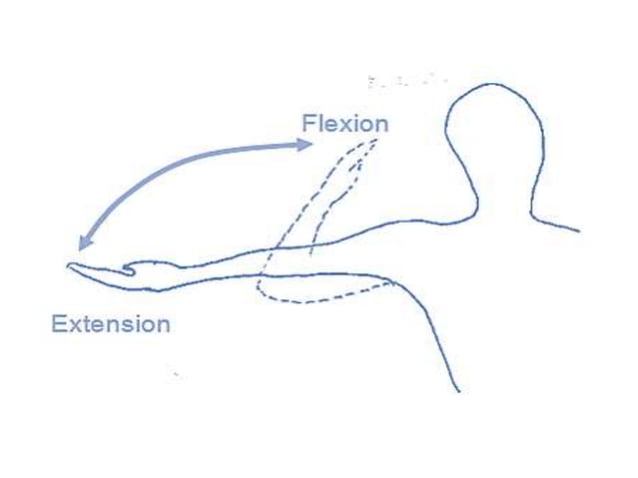 MOVEMENTS, MUSCLES and ROM of all upper and lower limb joints movements ...