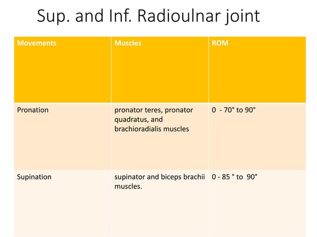 MOVEMENTS, MUSCLES and ROM of all upper and lower limb joints movements ...
