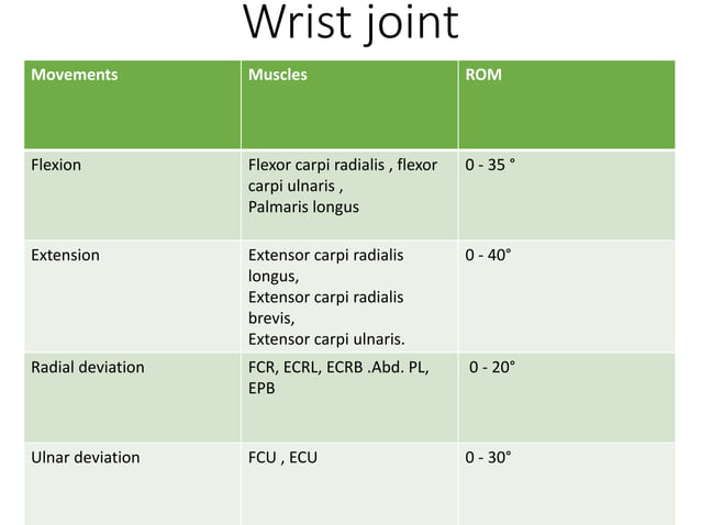 MOVEMENTS, MUSCLES and ROM of all upper and lower limb joints movements ...
