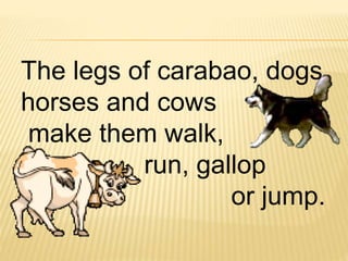 SCIENCE BODY PARTS THEAT ENABLE animals TO MOVE.pptx