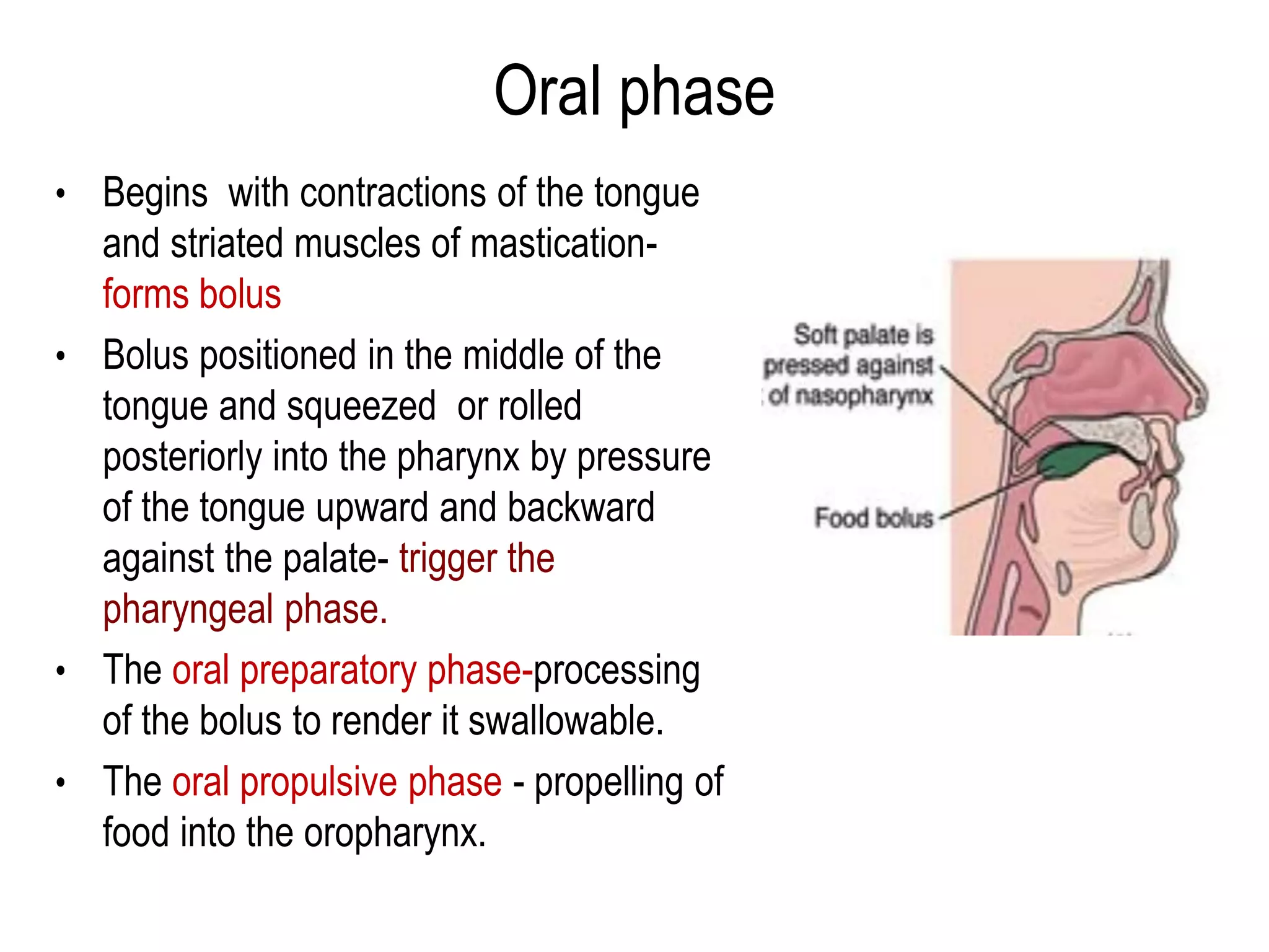 Movements of Gastrointestinal tract 21.12.2019 copy.pptx