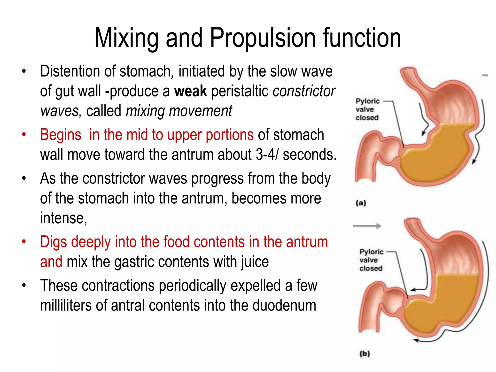 Movements of Gastrointestinal tract 21.12.2019 copy.pptx