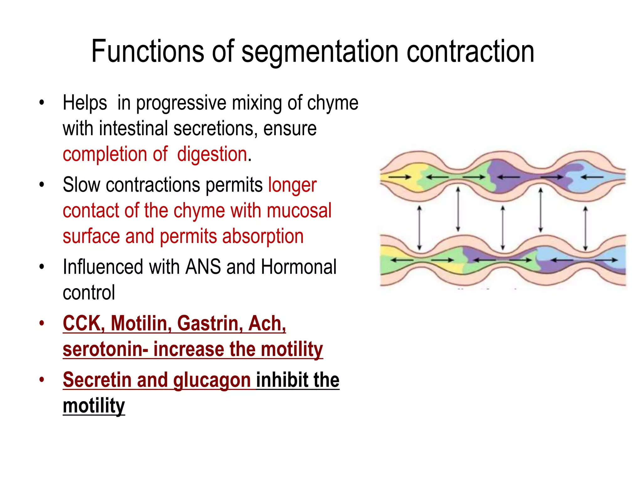 Movements of Gastrointestinal tract 21.12.2019 copy.pptx