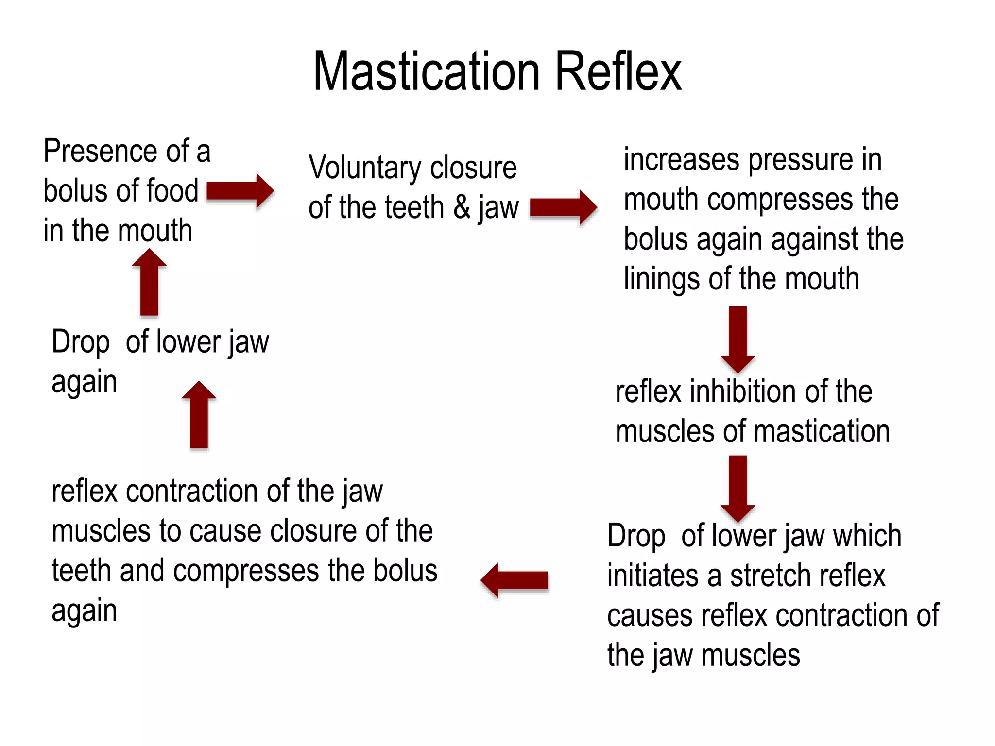 Movements of Gastrointestinal tract 21.12.2019 copy.pptx