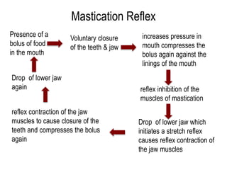 Movements of Gastrointestinal tract 21.12.2019 copy.pptx
