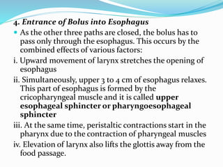 Movements of GIT.pptx