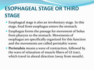 Movements of GIT.pptx