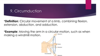 Movements of Human Body (Basic Intro).pptx