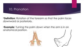 Movements of Human Body (Basic Intro).pptx