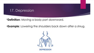Movements of Human Body (Basic Intro).pptx
