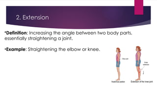Movements of Human Body (Basic Intro).pptx