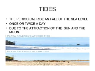 Movements of ocean water | PPT