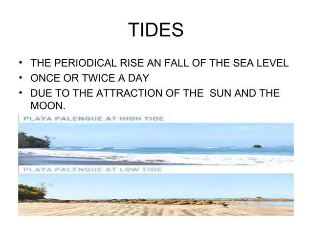 Movements of ocean water | PPT | Geography | Science