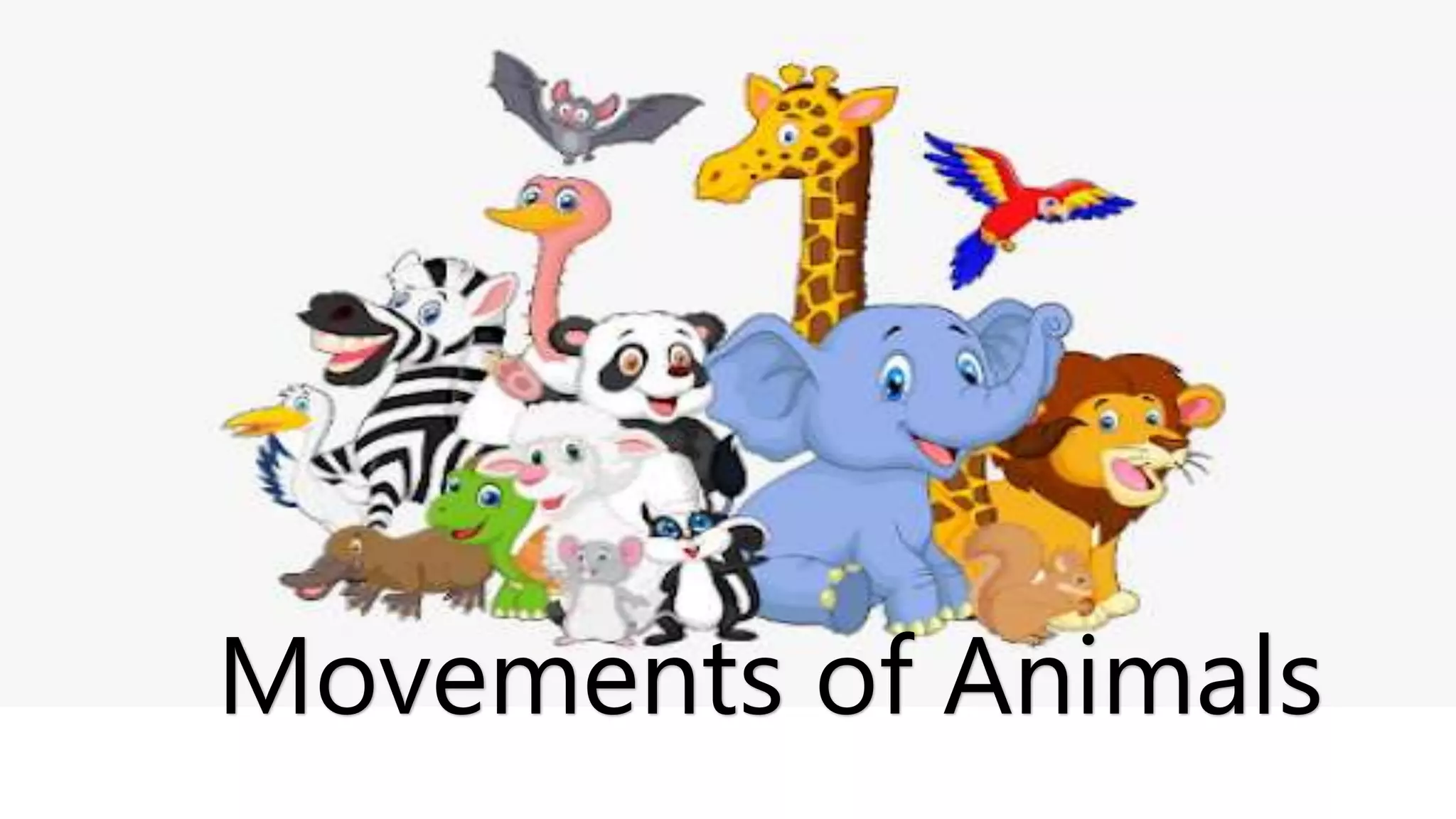Movements of the Animals. | PPT
