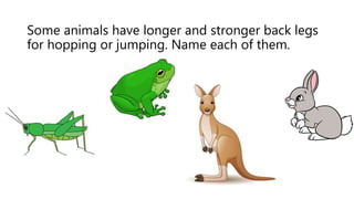 Movements of the Animals. | PPTX