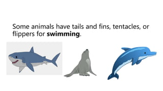Movements of the Animals. | PPTX