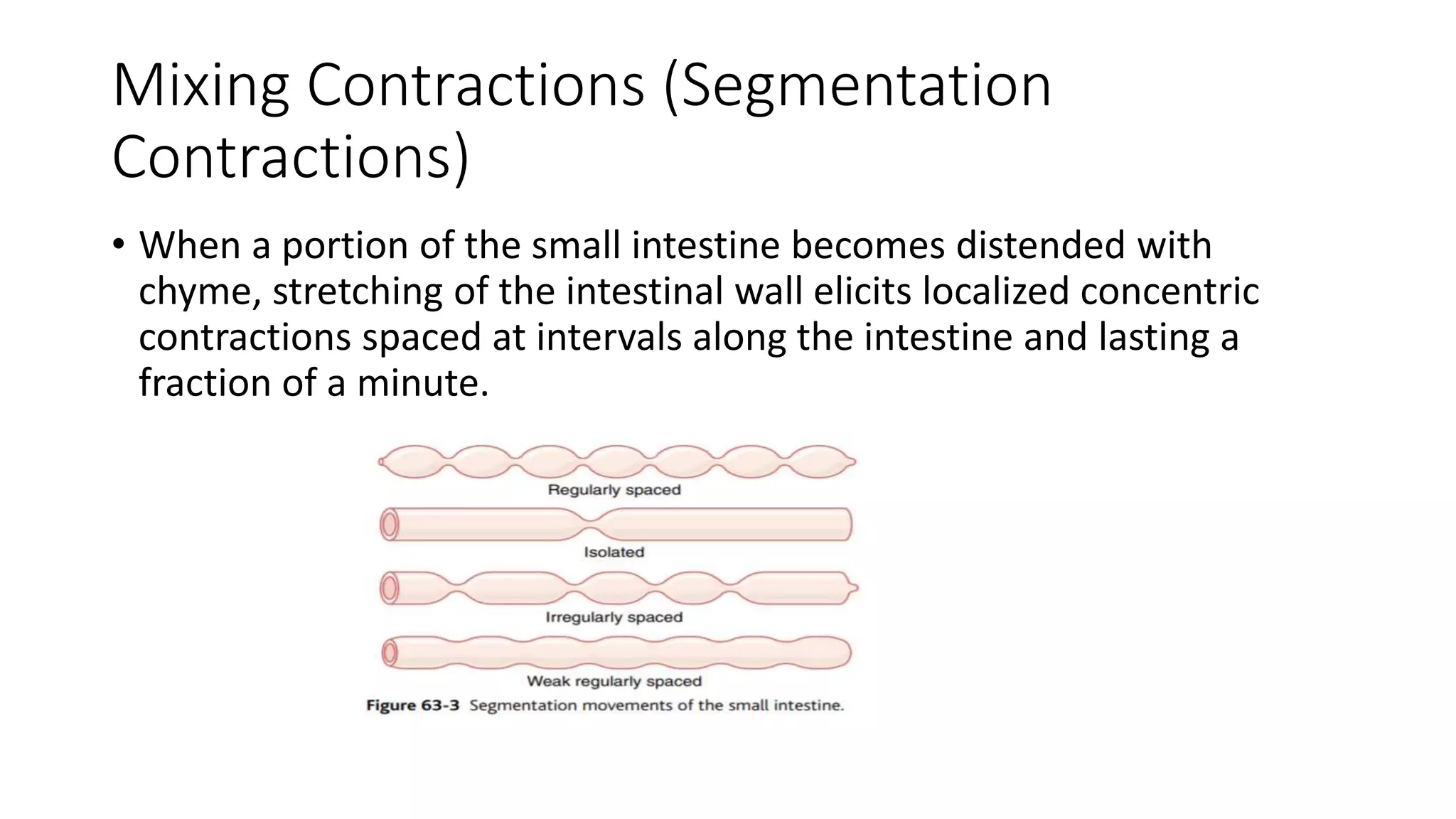 Movements of the small intestine | PPTX