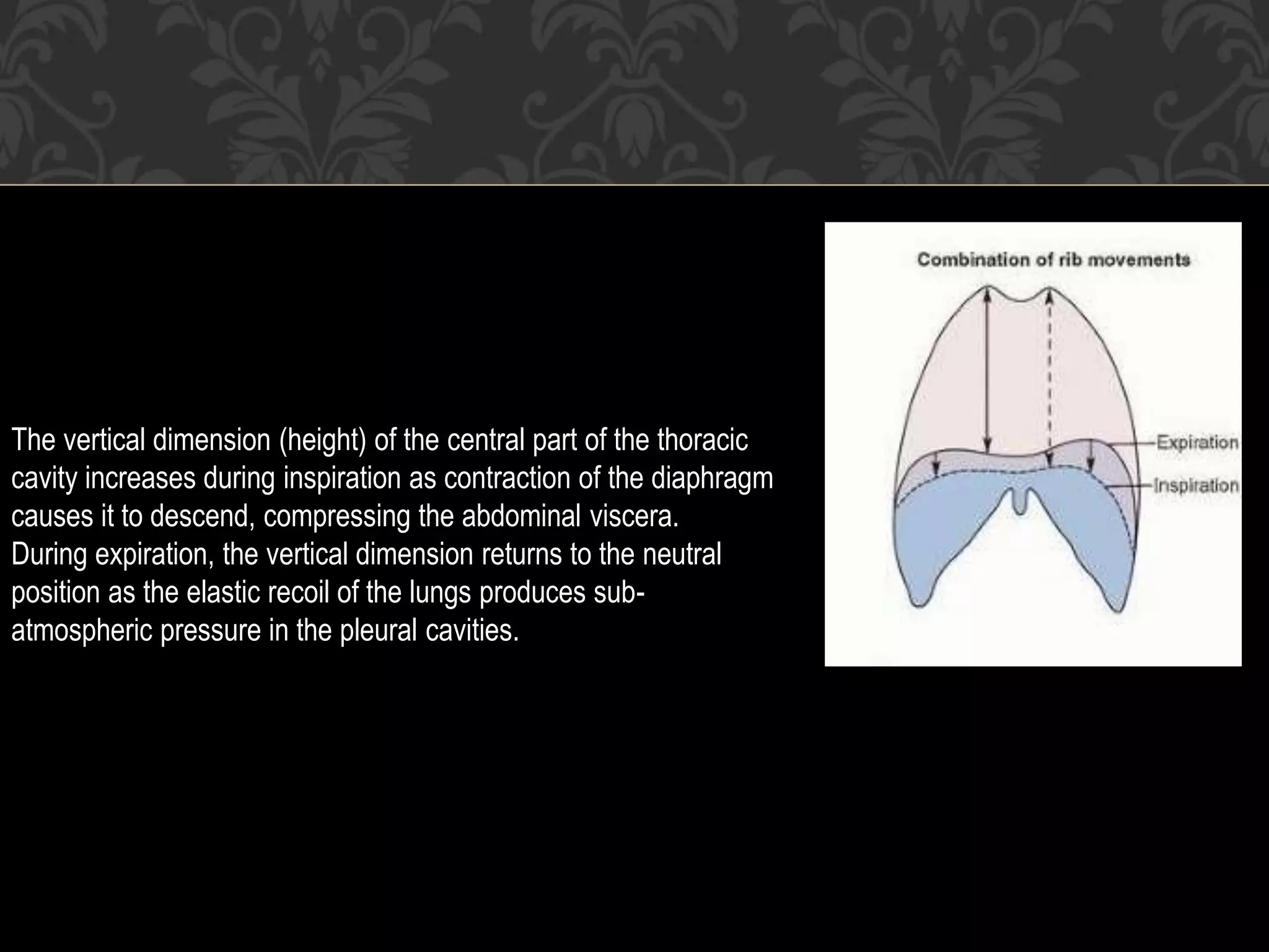 Movements of thoracic wall | PPTX