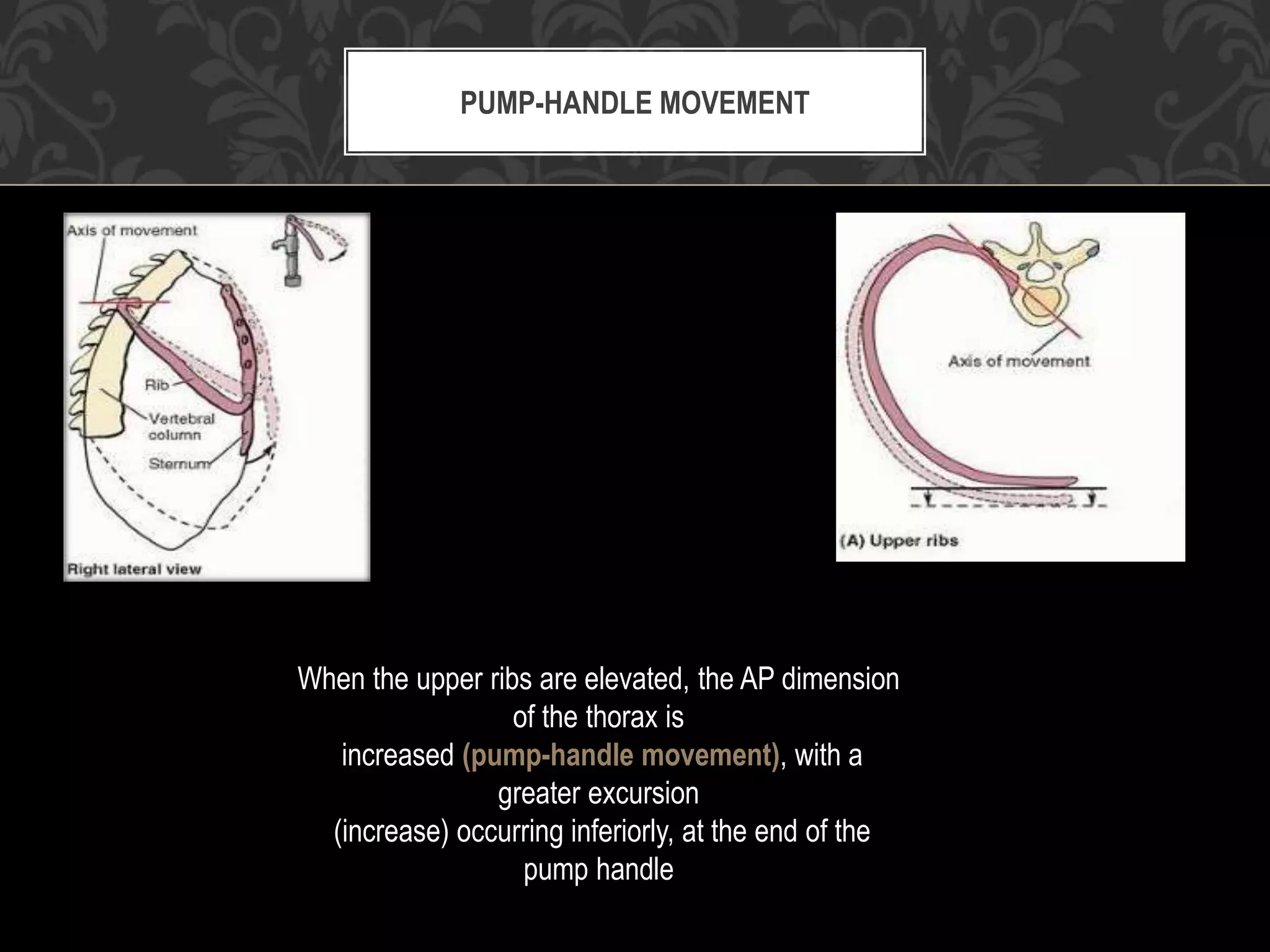 Movements of thoracic wall | PPTX
