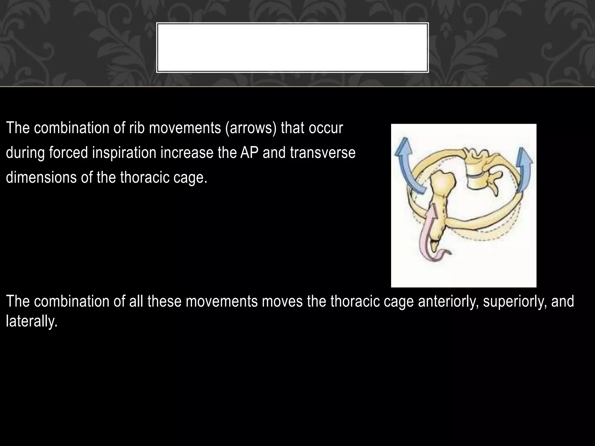 Movements of thoracic wall | PPTX