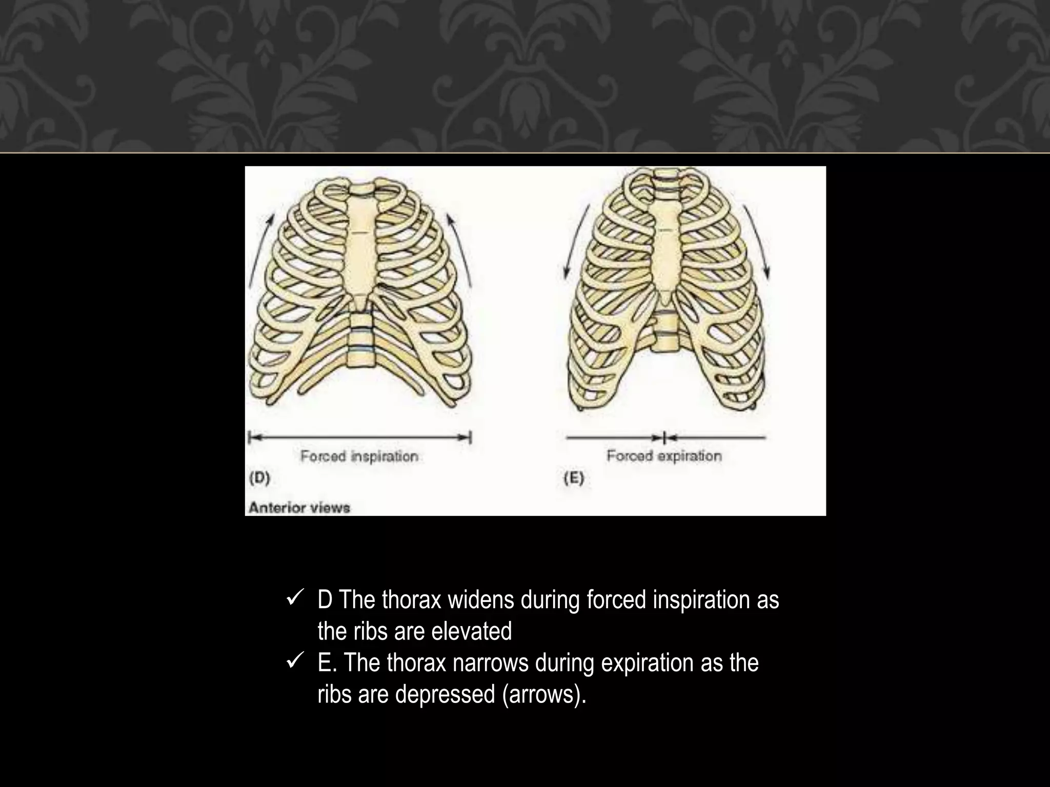 Movements of thoracic wall | PPTX
