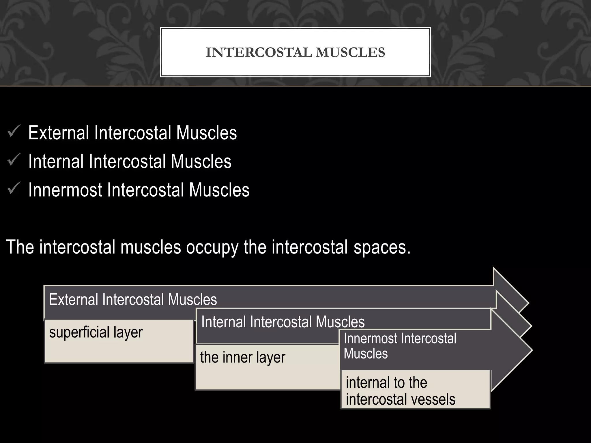 Movements of thoracic wall | PPTX