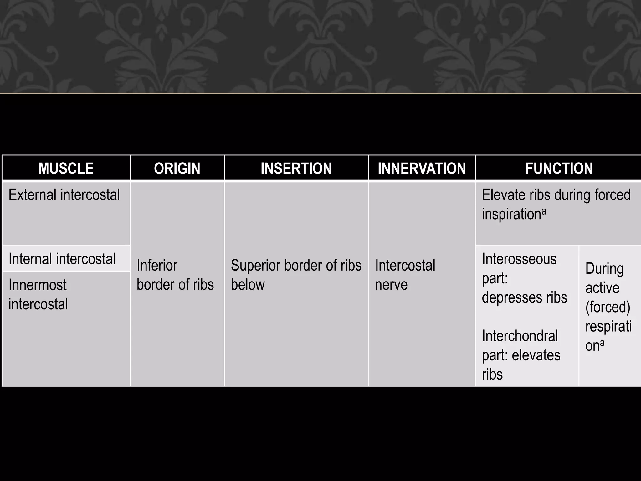 Movements of thoracic wall | PPTX