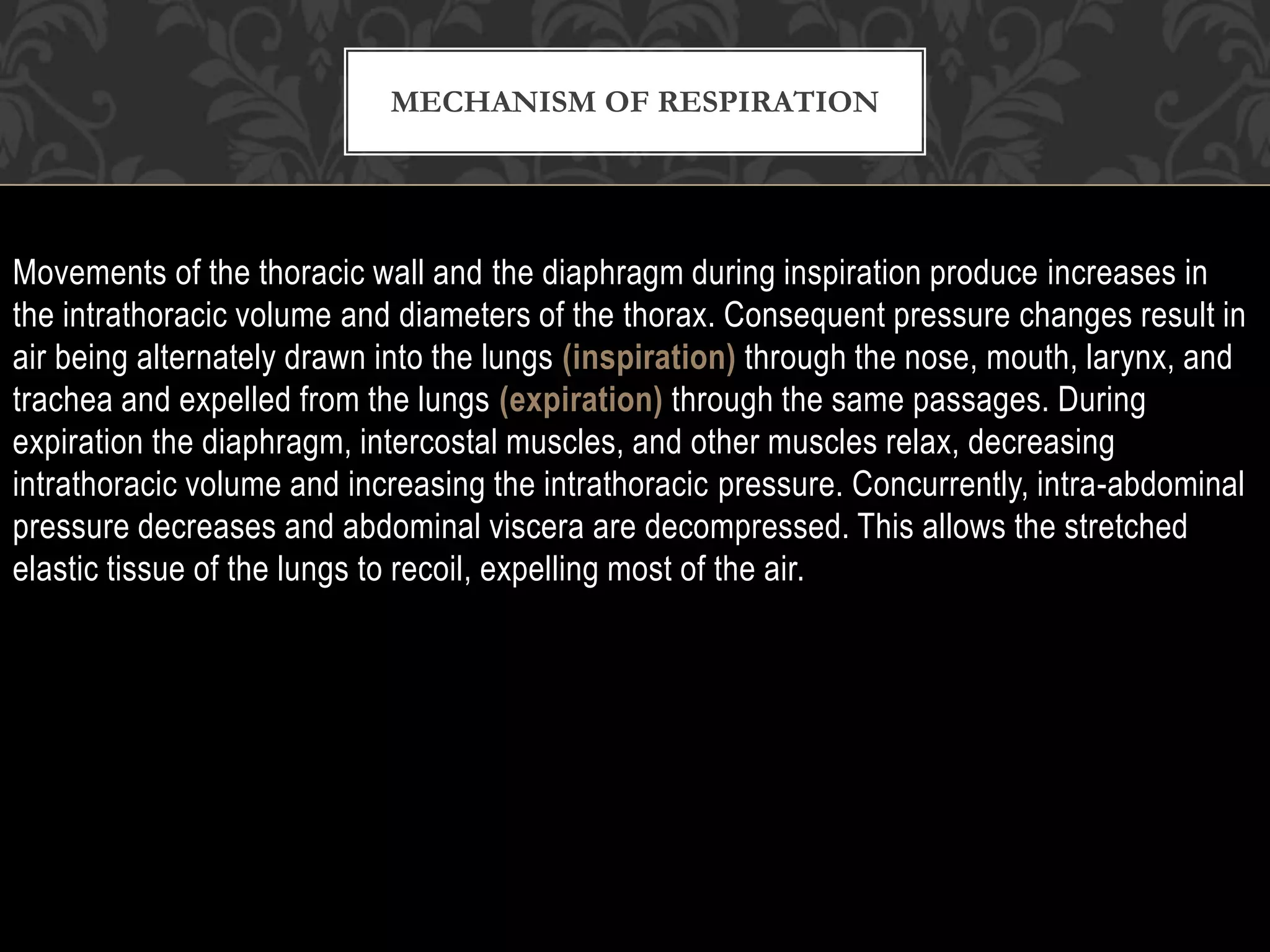 Movements of thoracic wall | PPTX