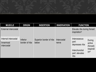 Movements of thoracic wall | PPTX