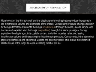Movements of thoracic wall | PPTX