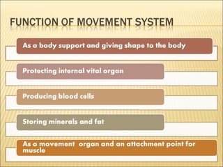 Grade 8 - Movement System | PPT