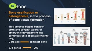 MOVEMENT system Science grade 8-2024.pptx