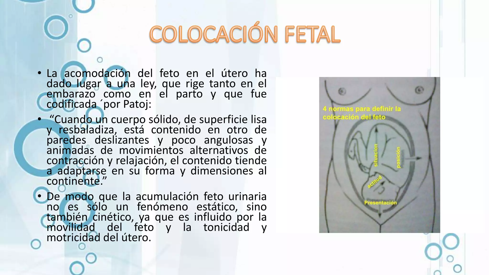 Movil fetal antropometria-modalidas de presentacion -actitud fetal | PPTX