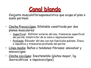 Movil fetal y canal de parto | PPT