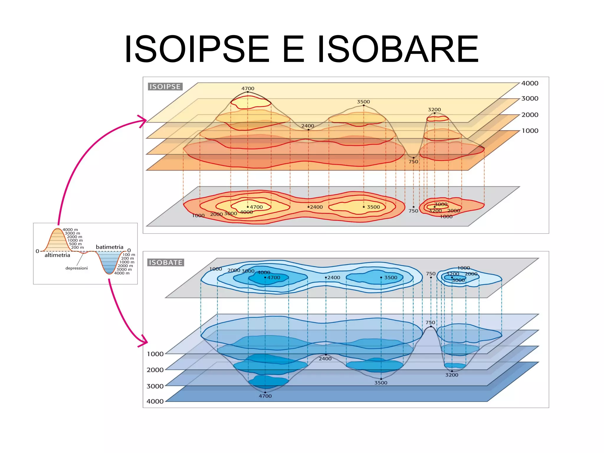 I Movimenti della terra | PPT