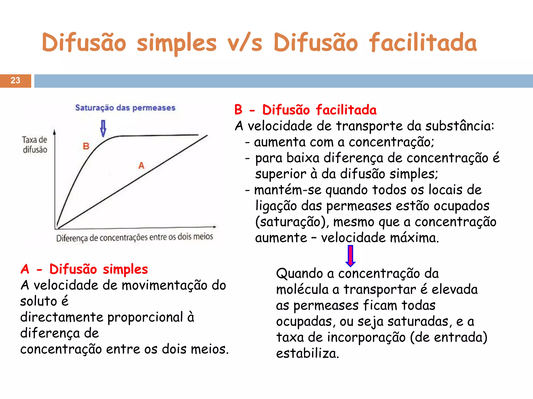 Movimentos transmembranares | PDF
