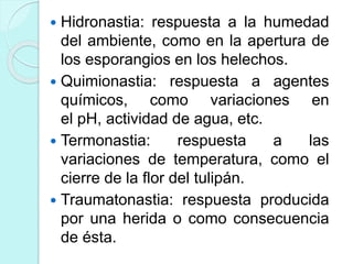 Movimiento de las Plantas - Fisiología Vegetal | PPTX