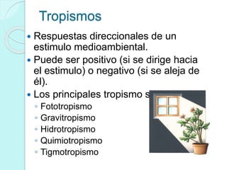 Movimiento de las Plantas - Fisiología Vegetal | PPTX