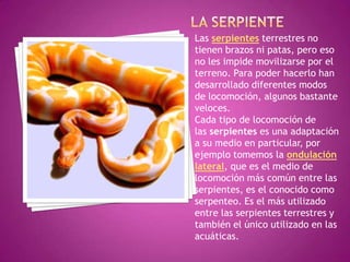 Movimiento de las serpientes :) | PPTX