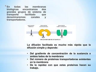 Movimiento de sustancias a través de membranas celulares | PPTX